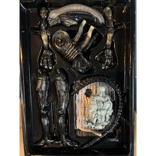 SKYNET 異形 ALIEN 1/12 模型 ALIEN AND CHESTBURSTER 胸爆者 | 蝦皮購物