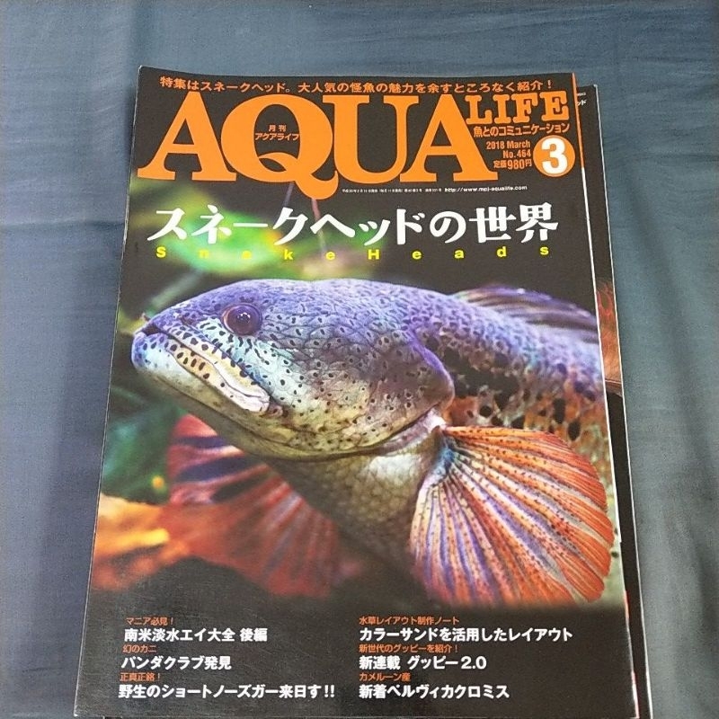 aqua life fish magazine 龍魚特輯 雷龍特輯 恐龍特輯 日文水族雜誌 原文書 | 蝦皮購物