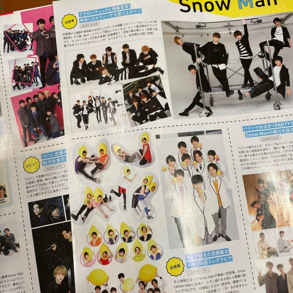 Snow Man 切頁 約80p 深澤辰哉 岩本照 向井康二 目黑蓮 ザテレビジョン TV fan TVガイド 等 | 蝦皮購物