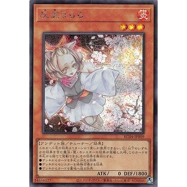 【小夫妻】遊戲王 RC03-JP010 RC04-JP009 PAC1-JP016 QCDB-JP021 灰流 (金亮) | 蝦皮購物