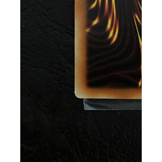 遊戲王-MACR-JP026 真龍凰聖母赦免 (亮面) | 蝦皮購物