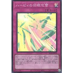 【DCT_緣夢の城】遊戲王 RC04-JP074 神鷹羽毛吹雪 亮面/半鑽/雕鑽 90-95分 | 蝦皮購物