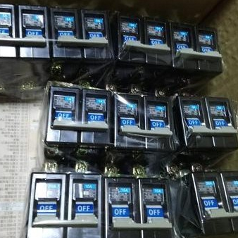 日本 Fuji 富士 迴路保護器 CP31 CP31D 1P CP32D 2P 標準型 螺絲固定 軌道式 | 蝦皮購物