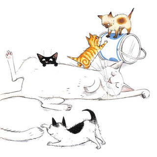 10 Cats/Emily Gravett eslite誠品 | 蝦皮購物