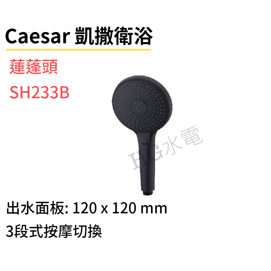 🔸HG水電🔸 Caesar 凱撒衛浴 蓮蓬頭 SH233B | 蝦皮購物