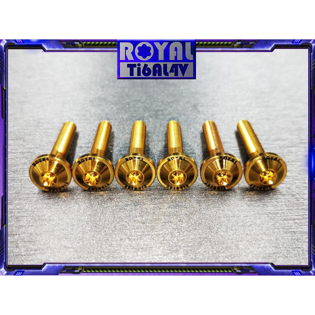 【瘋螺絲】ROYAL鈦合金螺絲★M5*30F P0.8 64正鈦螺絲★CNC鍛造內梅花.內星型螺絲★土豪金 | 蝦皮購物