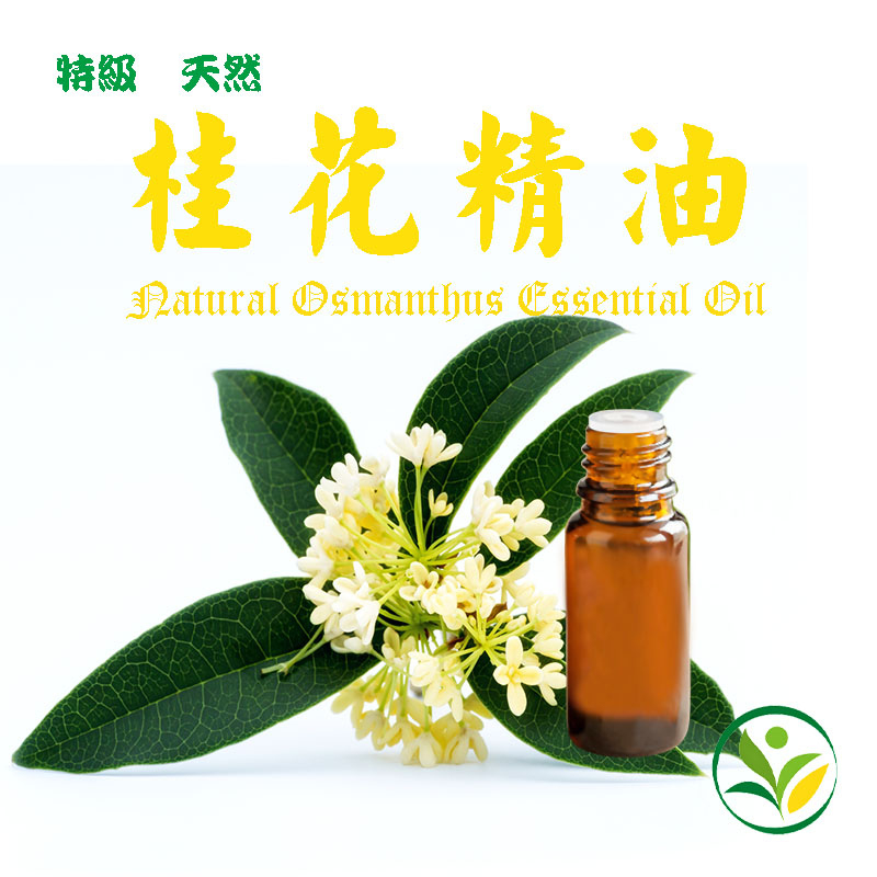 頂級桂花精油 花中月老 頂級天然單方精油 草本萃取精華油 濃郁芬芳桂花香 農特產品Osmanthus Essential | 蝦皮購物 頂級桂花精油 花中月老 頂級天然單方精油 草本萃取精華油 濃郁芬芳桂花香 農特產品Osmanthus Essential | 蝦皮購物