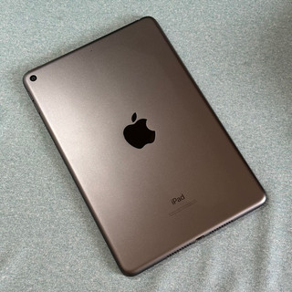 iPad mini 5 64G WiFi版 黑 95新 功能正常 二手 Ipadmini5 mini5 平板 7.9吋 | 蝦皮購物