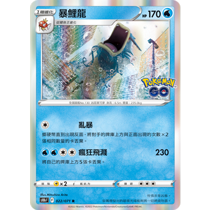 [ALG 卡牌專門] 寶可夢 PTCG 中文版 暴鯉龍 S10b 022/071 R 閃卡 POKEMON GO | 蝦皮購物