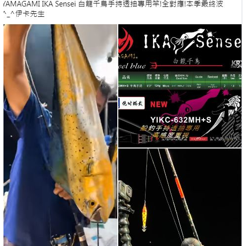 6/23手持透抽竿店內有二支槍柄 YIKC-632MH+S，YAMAGAMI 白龍千鳥 手持透抽竿路亞竿軟絲竿小捲小卷 | 蝦皮購物