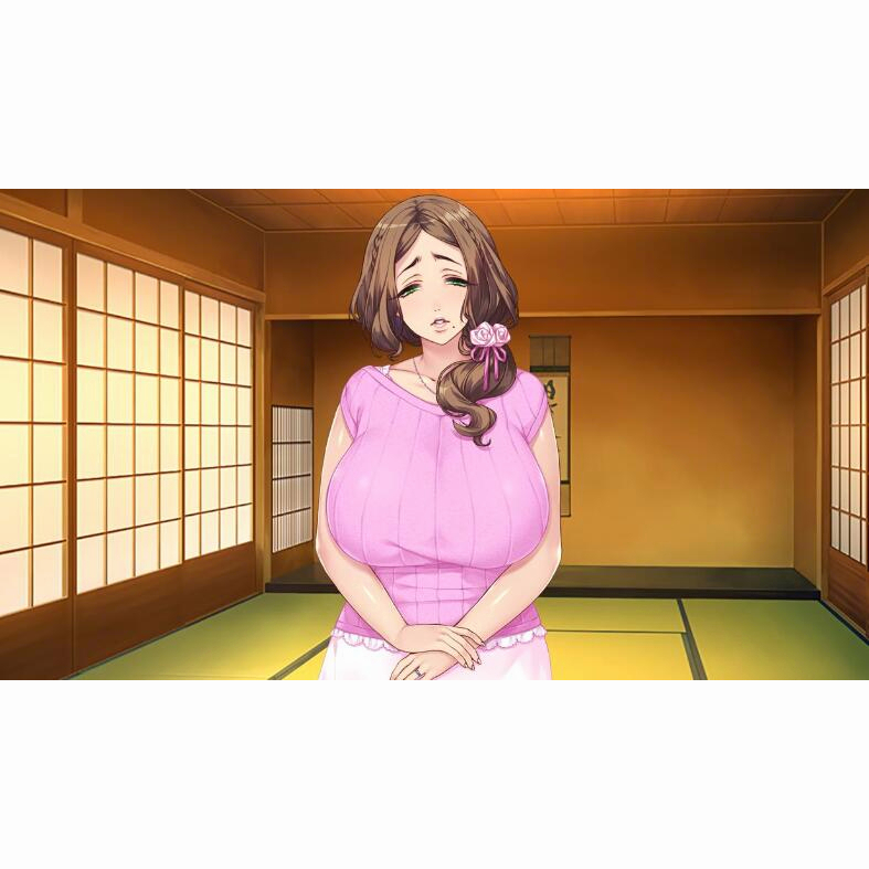 妃神會秘史中文步兵版+全CG存檔+全動畫版【拔作ADV/中文/2G】【PC單機遊戲】 | 蝦皮購物