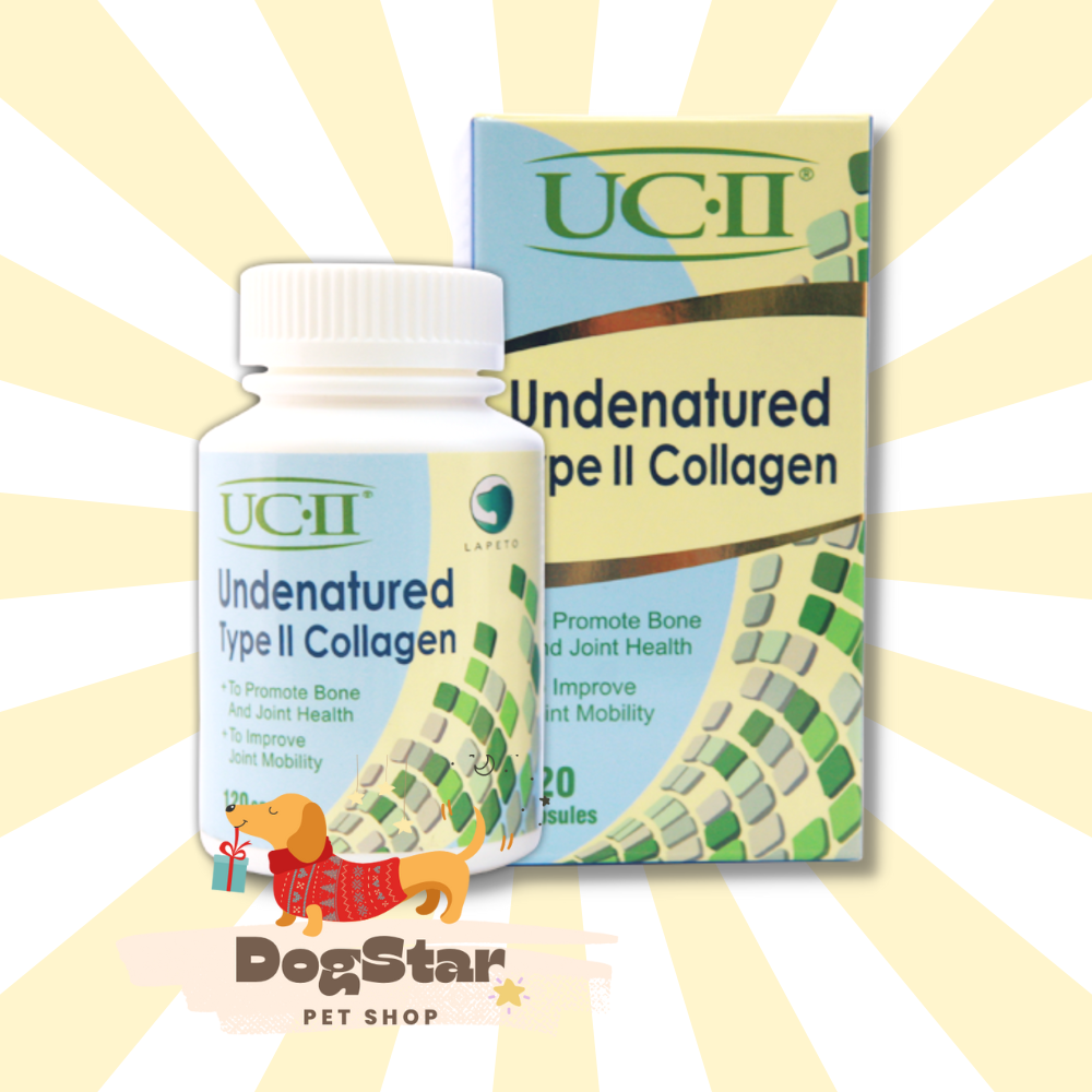 吉沛思 樂倍多UCII關節健力膠囊 30顆/120顆 關節保健 非變形二型膠原蛋白 幫助軟骨維持健康 維持活力 | 蝦皮購物