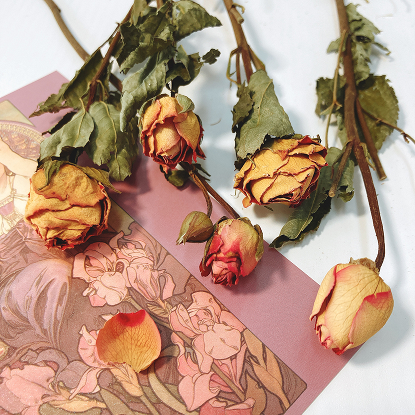 乾燥迷你玫瑰 DIY乾燥花☆ VITO zakka ☆乾燥玫瑰 不凋花 永生花 花材 玫瑰花 小玫瑰 多頭玫瑰 乾燥花 | 蝦皮購物