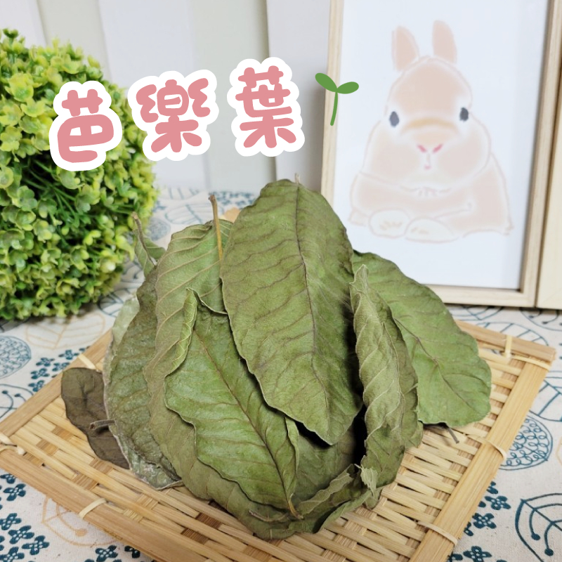 牧草圓又圓★ 手工烘製 芭樂葉 蔬果乾5g/9g | 蝦皮購物