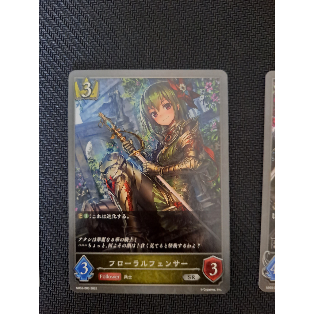 【SCU玩具卡牌】SVE SR卡 皇家 SD02-003 shadowverse elove tcg 卡牌 卡片 | 蝦皮購物