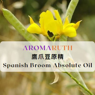 AROMARUTH鷹爪豆原精Spanish Broom Absolute Oil | 蝦皮購物