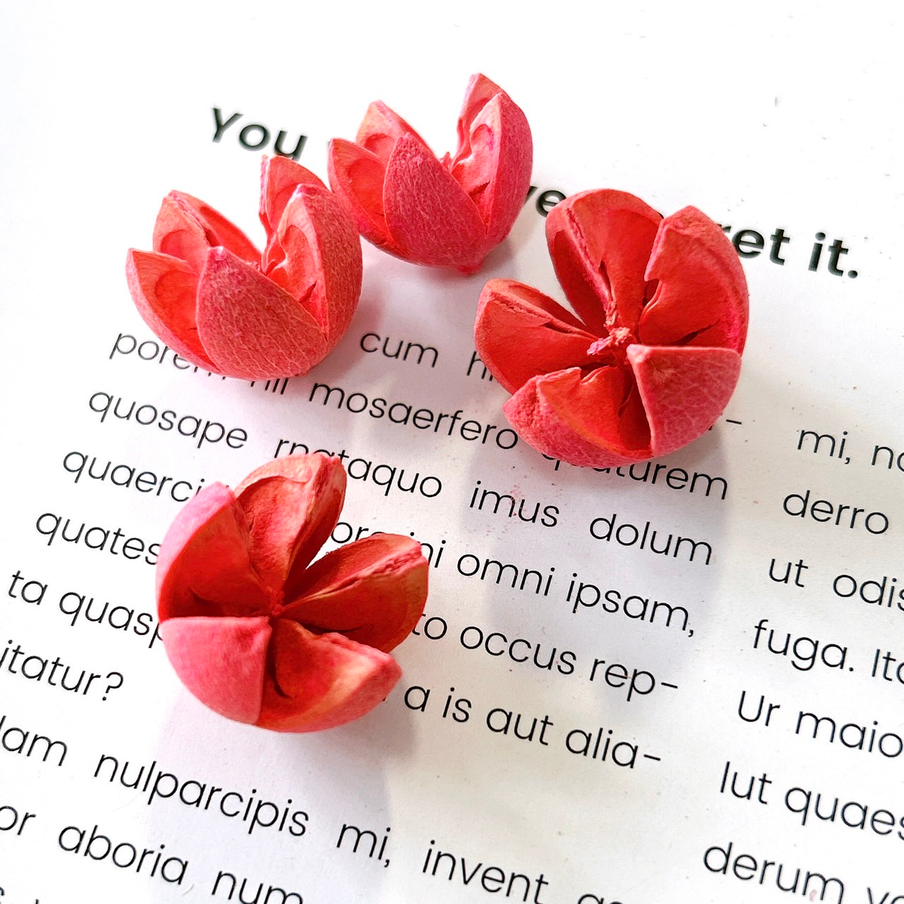 開心果 木荷果 開口笑果實 十字果 ☆ VITO zakka ☆ 花材 拍攝道具 DIY創作 手做材料 果實 花圈材料 | 蝦皮購物