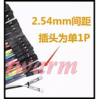 40P杜邦線，2Pin 2.0mm 轉 1Pin 2.54mm 彩排線 20CM線長（2P-1P／2 轉1／2.0轉2. | 蝦皮購物