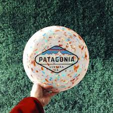 Patagonia Frisbee 飛盤 logo disc 戶外 日潮 露營 收藏品 玩具 巴塔哥尼亞 | 蝦皮購物