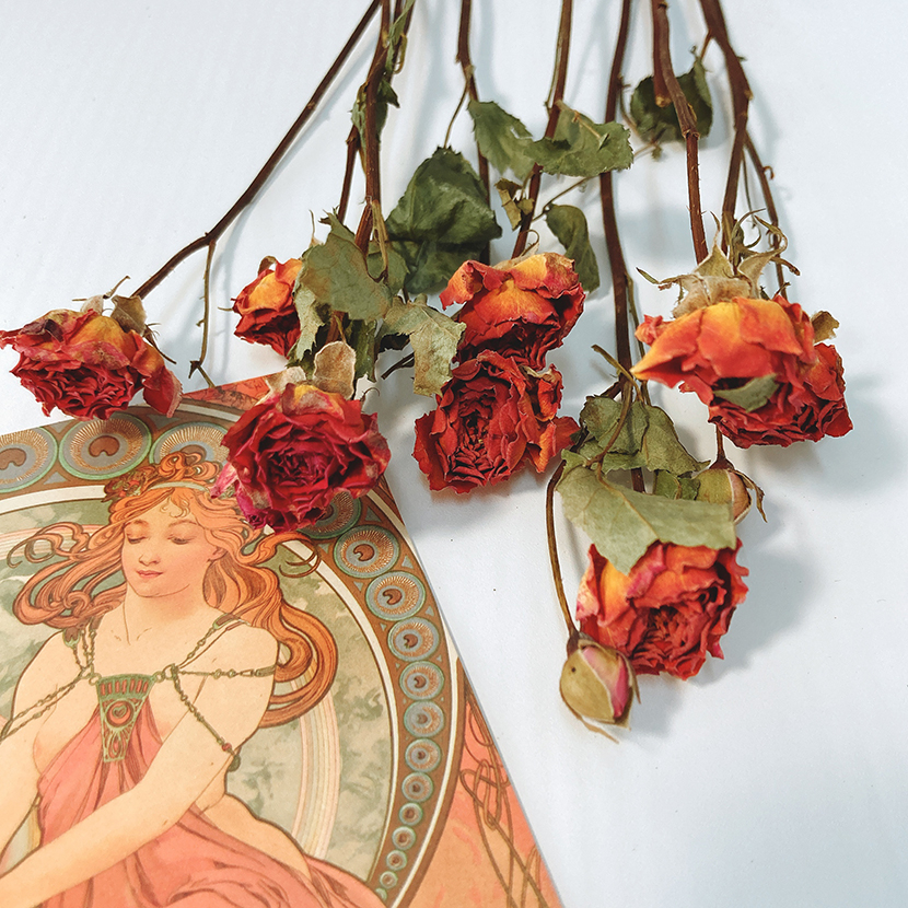 乾燥迷你玫瑰 DIY乾燥花☆ VITO zakka ☆乾燥玫瑰 不凋花 永生花 花材 玫瑰花 小玫瑰 多頭玫瑰 乾燥花 | 蝦皮購物