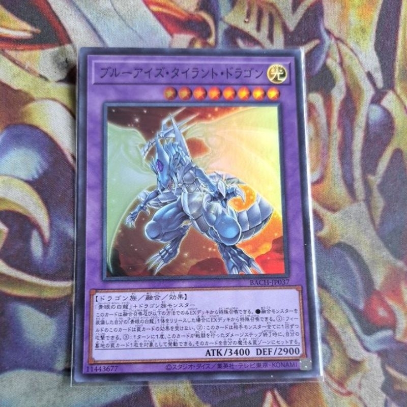 卡片屋 遊戲王1107 亮面 青眼的暴君龍 BACH-JP037 | 蝦皮購物
