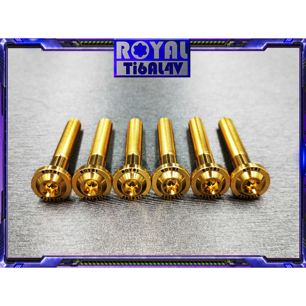 【瘋螺絲】ROYAL鈦合金螺絲★M8*55F P1.25 64正鈦螺絲★CNC鍛造內梅花.內星型螺絲★土豪金 | 蝦皮購物