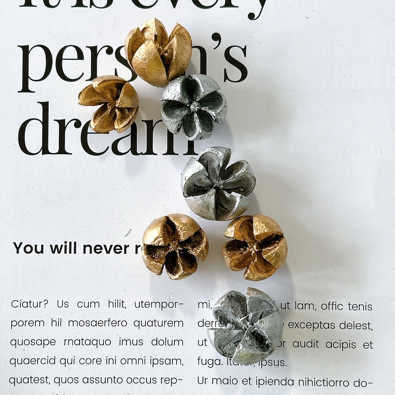 開心果 木荷果 開口笑果實 十字果 ☆ VITO zakka ☆ 花材 拍攝道具 DIY創作 手做材料 果實 花圈材料 | 蝦皮購物