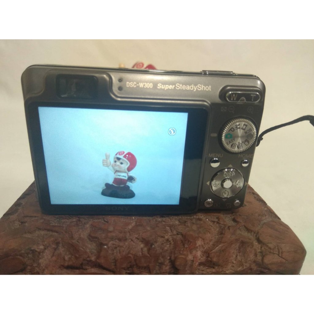 Sony DSC-W300 數位相機 CCD相機 | 蝦皮購物