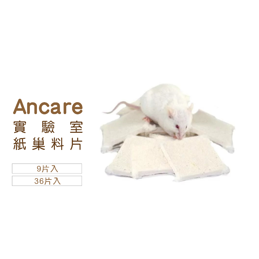 Ancare 實驗室 紙巢料片 巢料片 巢片 墊材 墊料 紙墊料 | 蝦皮購物