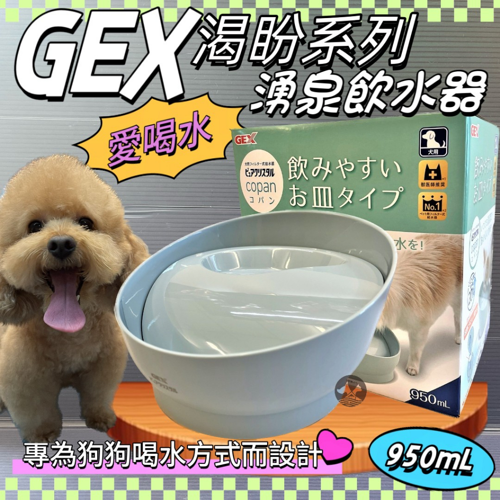 寵物巿集 日本 GEX 狗用 渴盼飲水器 白色 950ML/組 寵物飲水器 陶瓷 循環 飲水器 犬 愛喝水 喝水盆 | 蝦皮購物