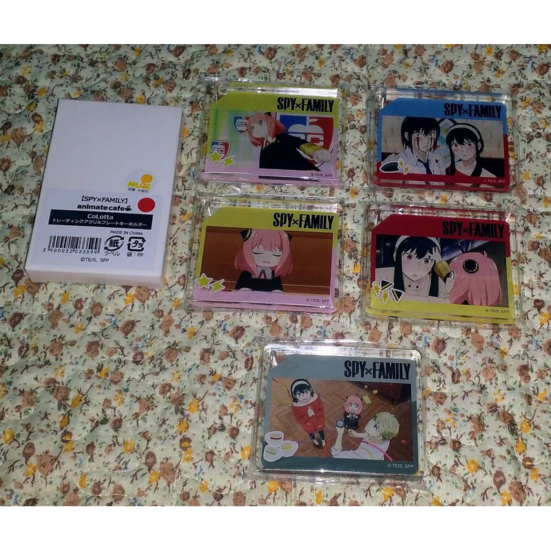 現貨 animate cafe 間諜家家酒 CoLotta 分售 安妮亞 約兒&尤利 約兒&安妮亞 洛伊德&安妮亞&約兒 | 蝦皮購物