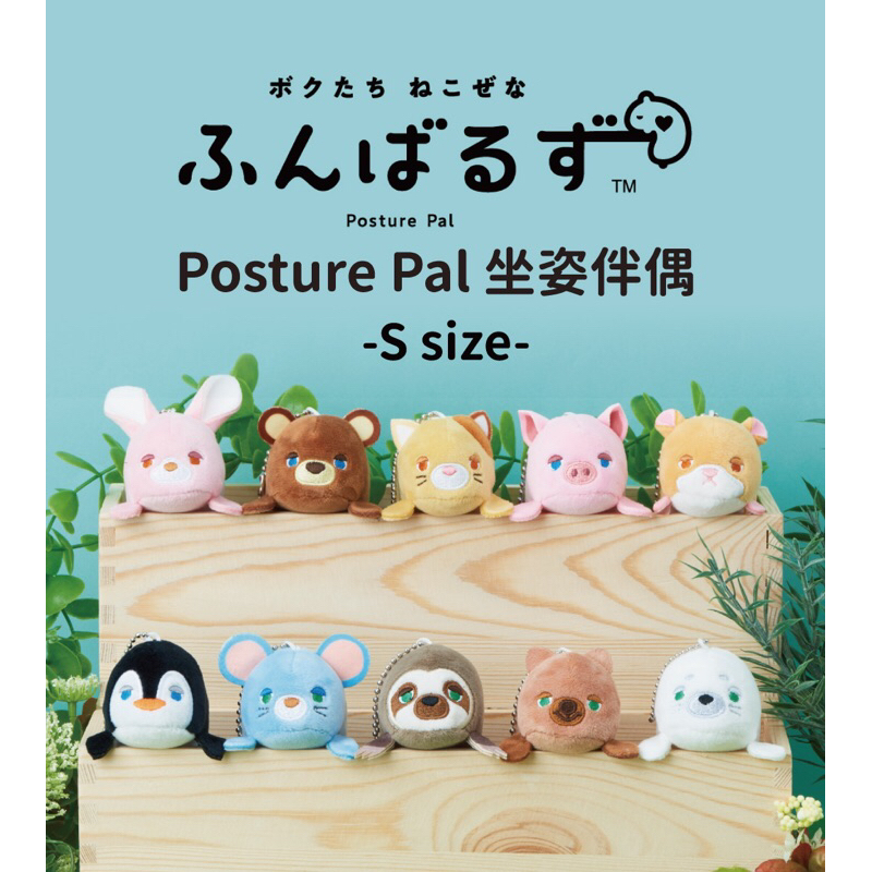 代購 🔥限時下殺🔥 現貨 台灣代理商正貨 日本 Dreams Posture Pal 坐姿伴偶吊飾 S號 M號 L號 | 蝦皮購物
