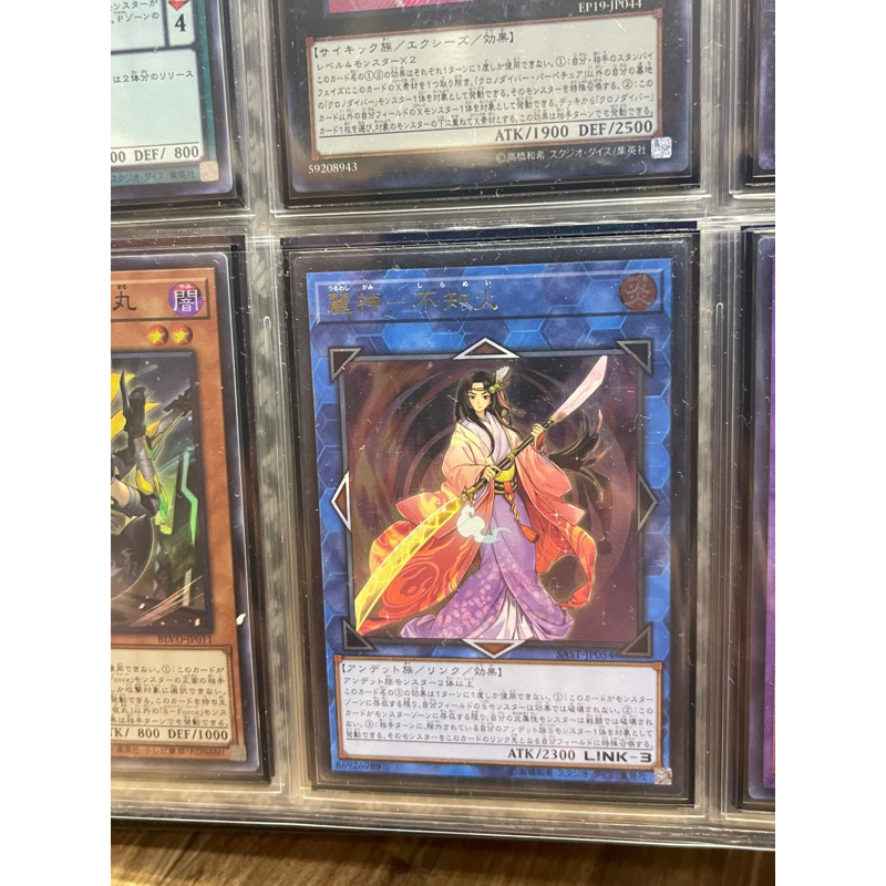 SAST-JP054 麗神-不知火 (金亮) | 蝦皮購物