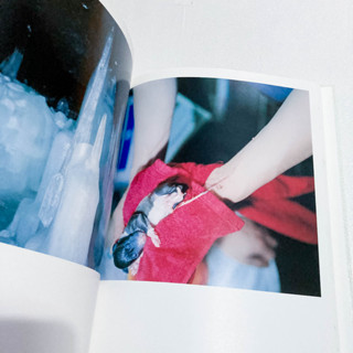 過氣絕版珍藏攝影集 川內倫子 Rinko Kawauchi 《AILA》 Little More精裝版 | 蝦皮購物