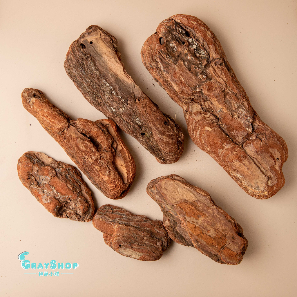 《GrayShop》乾樹枝 樹皮塊 原木塊 木頭片 美式鄉村 森林系 攝影道具 拍照道具《格蕾小舖》 | 蝦皮購物