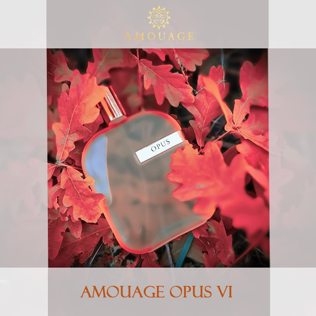 詩情扉頁6 Amouage 圖書館典藏6號 愛慕 Opus VI 琥珀、皮革和木質香味的總和 | 蝦皮購物