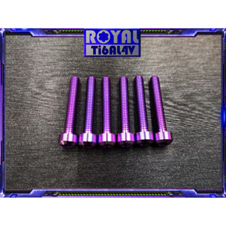 【瘋螺絲】ROYAL鈦合金螺絲★M4*25B P0.7 64正鈦螺絲★CNC鍛造內梅花.內星型螺絲★皇家紫 | 蝦皮購物