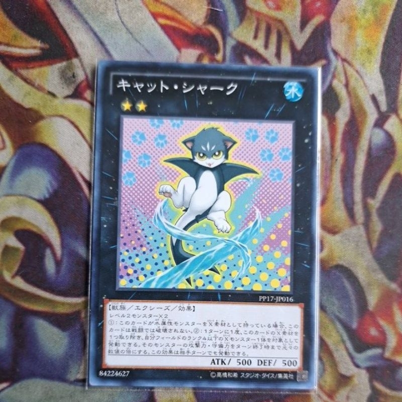 卡片屋 遊戲王 普卡 貓鯊 PP17-JP016 | 蝦皮購物