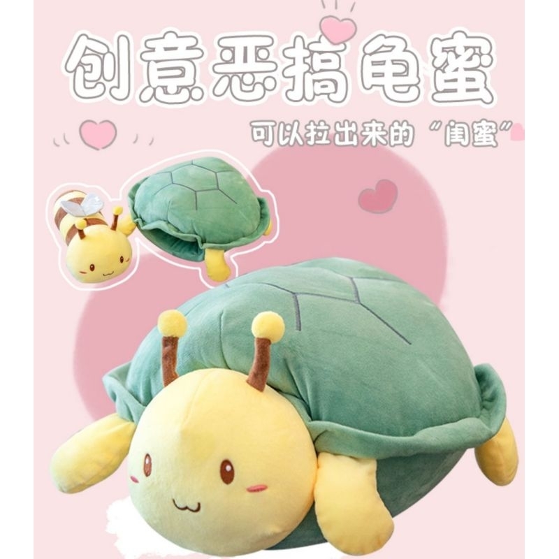 (全新現貨)48cm/20cm烏龜殼玩偶 龜殼抱枕 蜜蜂毛絨玩具 龜蜜公仔 網紅禮物 | 蝦皮購物
