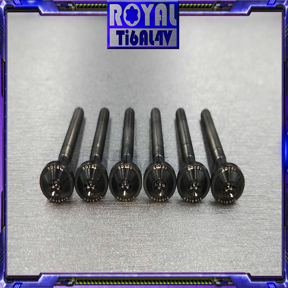 【瘋螺絲】ROYAL鈦合金螺絲★M5*50F P0.8 64正鈦螺絲★CNC鍛造內梅花.內星型螺絲★帝王黑 | 蝦皮購物