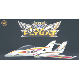 《TS同心模型》 絕版多年全新升級V2版 H-King Durafly 70mm 飛貓 FLYCAT V2 | 蝦皮購物