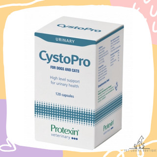 Protexin CystoPro for Dogs and Cats 蔓泌利 蔓越莓 犬貓 泌尿保健 | 蝦皮購物