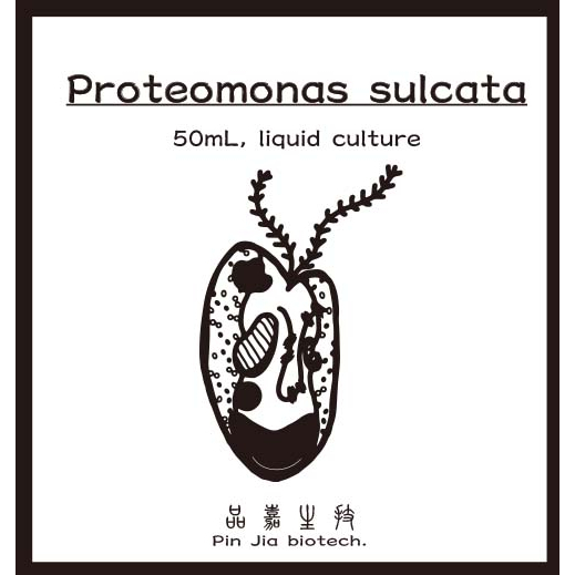 【藻水】蘇卡達紅隱藻 Proteomonas sulcata｜特殊藻種、魚苗餌料、純種 (50 mL) | 蝦皮購物