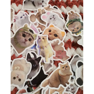 《Hayu小物》貓咪meme貼紙大集合！一組為隨機60入 | 蝦皮購物