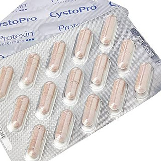Protexin CystoPro for Dogs and Cats 蔓泌利 蔓越莓 犬貓 泌尿保健 | 蝦皮購物