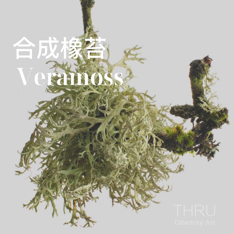 veramoss 合成橡苔 Evernyl 美國知名香精大廠 固體粉末 單體香水調香原料 苔蘚橡木苔 | 蝦皮購物