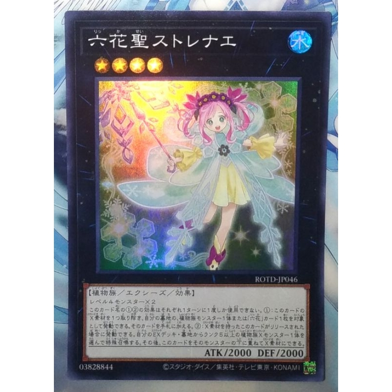 天天小舖 遊戲王 六花聖 花圈 ROTD-JP046 亮面 日版 正版 卡片 TB7 | 蝦皮購物