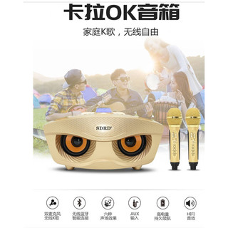 (現貨台灣保固) 貓頭鷹卡拉OK SD-306 Plus 麥克風 藍芽喇叭 | 蝦皮購物