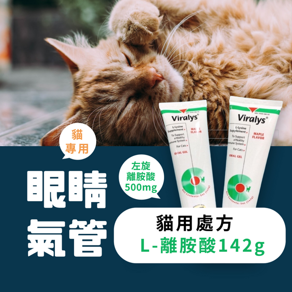 🌈寵物保健士🌈獸醫院專售品👌威隆 Viralys 貓安 處方L-離胺酸 全補營養膏 貓安軟膏 貓胺 離氨酸 貓 | 蝦皮購物