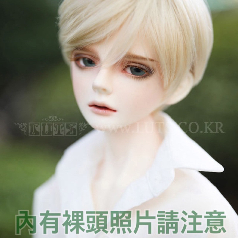 全新 里親 BJD LUTS DIEZ DOLCE ver. 13S 改版 限定 單頭 | 蝦皮購物